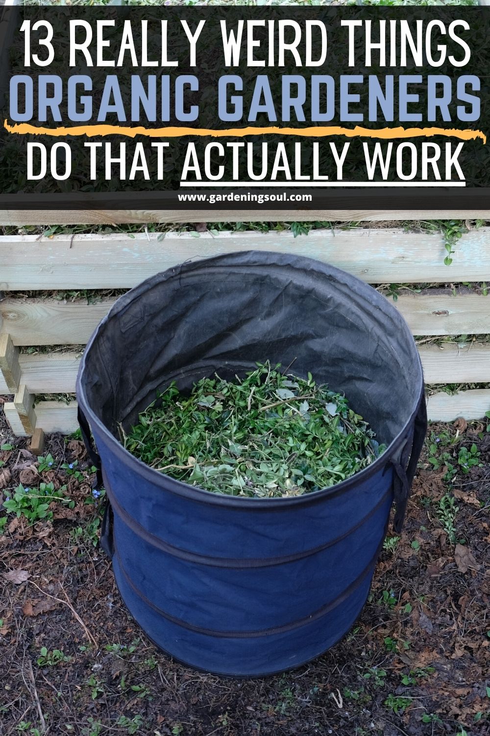 13 Really Weird Things Organic Gardeners Do That Actually Work