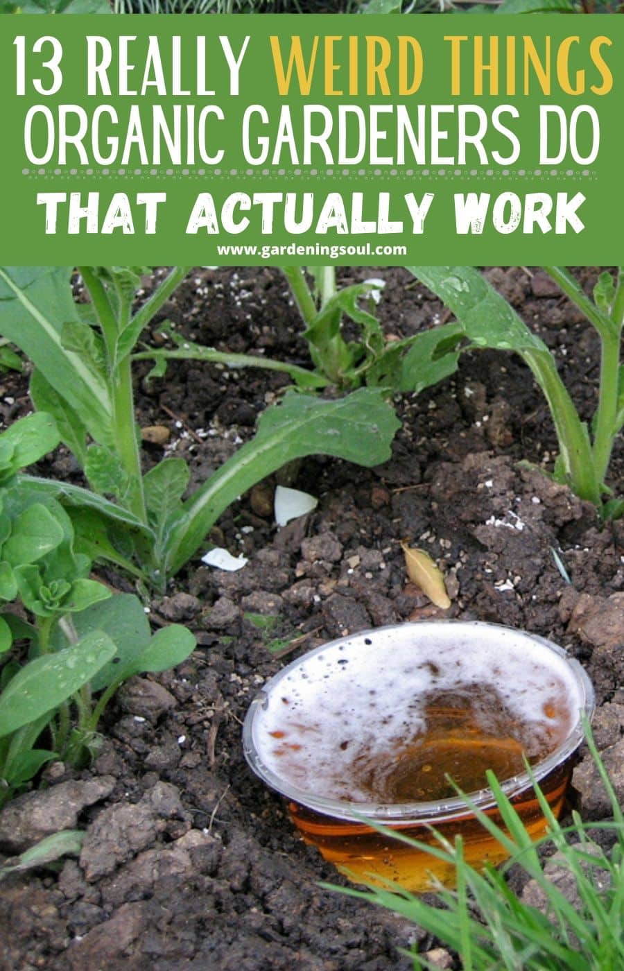 13 Really Weird Things Organic Gardeners Do That Actually Work