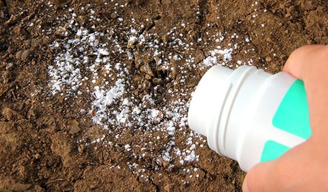 8 Nifty Uses For Baby Powder In The Garden
