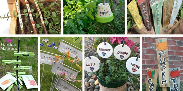 16 Brilliant And Budget-Friendly Ideas to Label the Garden Plants