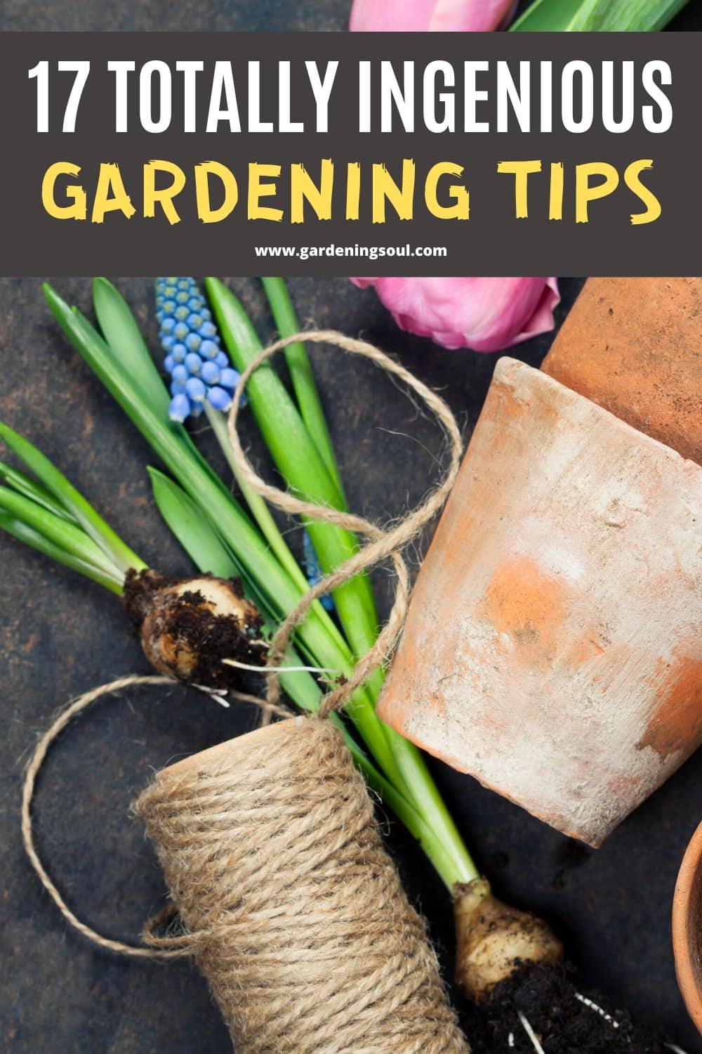 17 Totally Ingenious Gardening Tips