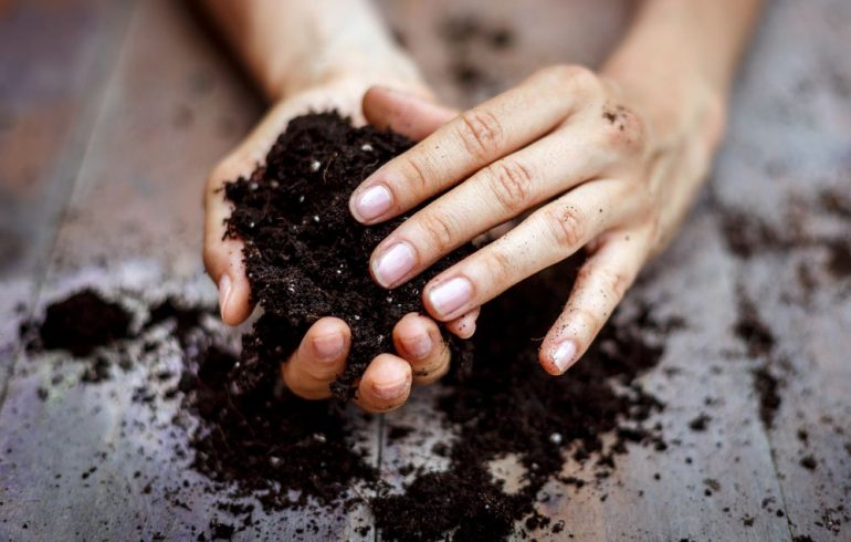 20 Reasons To Start Gardening Right Now—Even If You Think You Can't