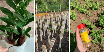 10 Weird Gardening Hacks That Keep Pests Away And Improve Growth