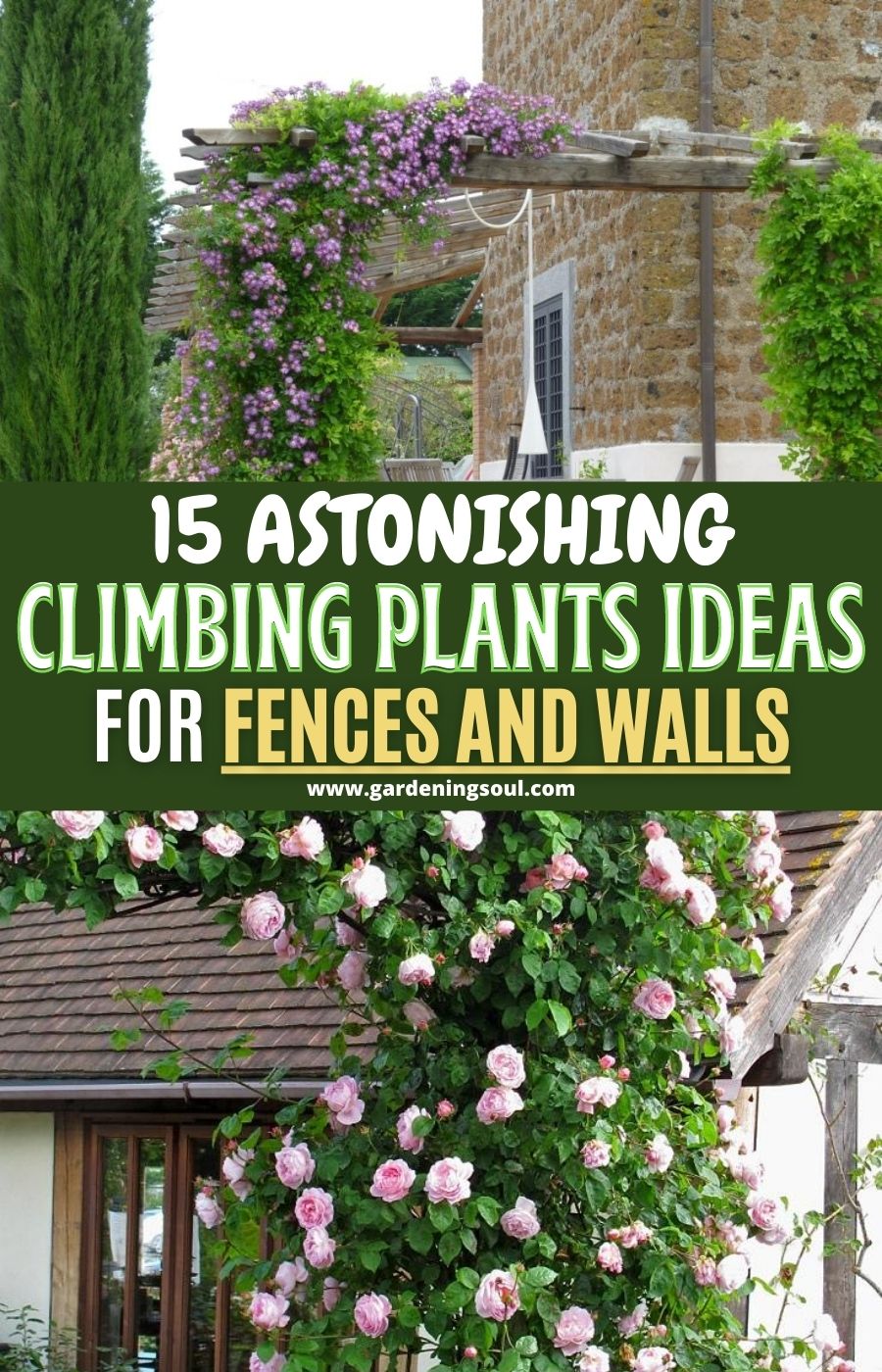 15 Astonishing Climbing Plants Ideas For Fences And Walls