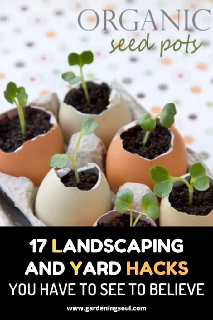 17 Landscaping And Yard Hacks You Have To See To Believe