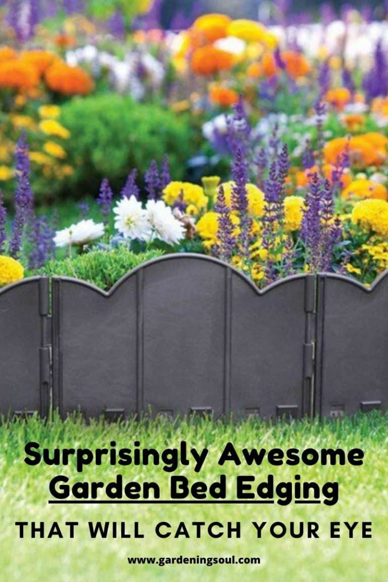 Surprisingly Awesome Garden Bed Edging That Will Catch Your Eye