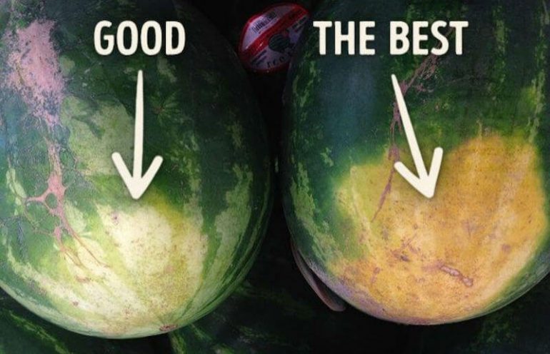 5 Tricks For Picking The PERFECT Watermelon Every Time!