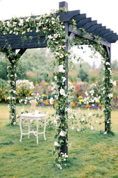 15 Beautiful Climbing Plants for Pergola and Arbors That Will Make ...