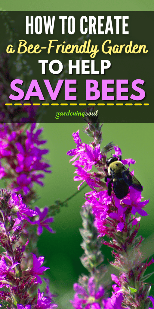 How to Create a Bee-Friendly Garden to Help Save Bees