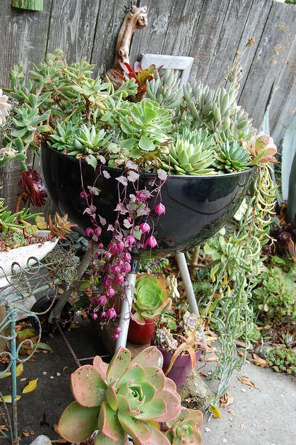 15 Creative Garden Containers