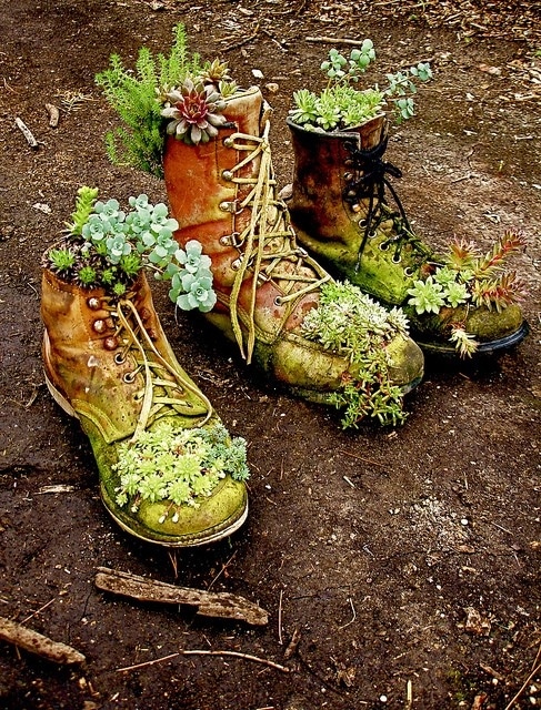 15 Creative Garden Containers