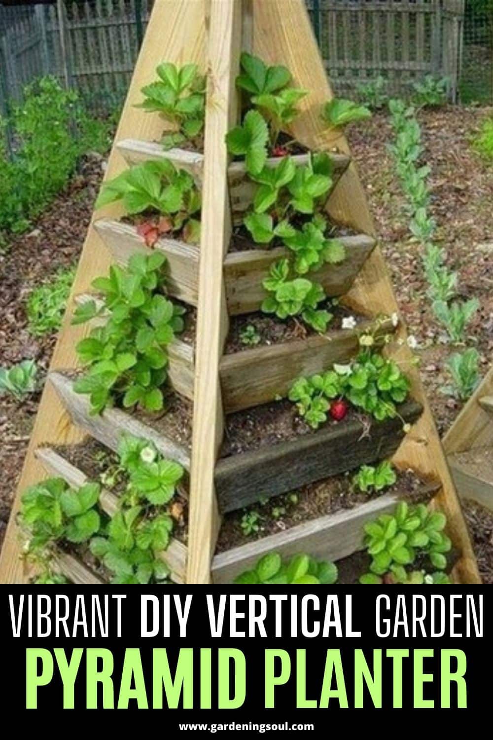 Vibrant DIY Vertical Garden Pyramid Planter