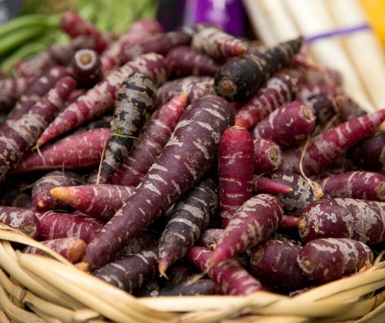 10 Purple Vegetables to Grow in Your Superfood Garden