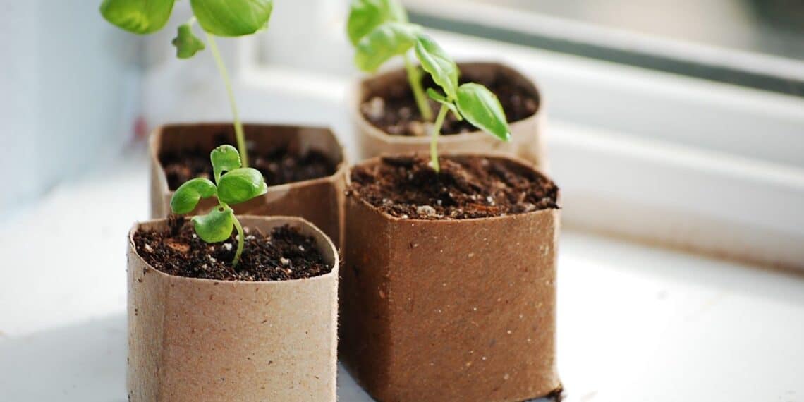 How To Make Toilet Roll Pots