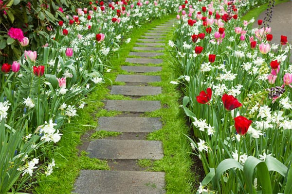 15 Beautiful Garden Flowers Photos for Your Inspiration