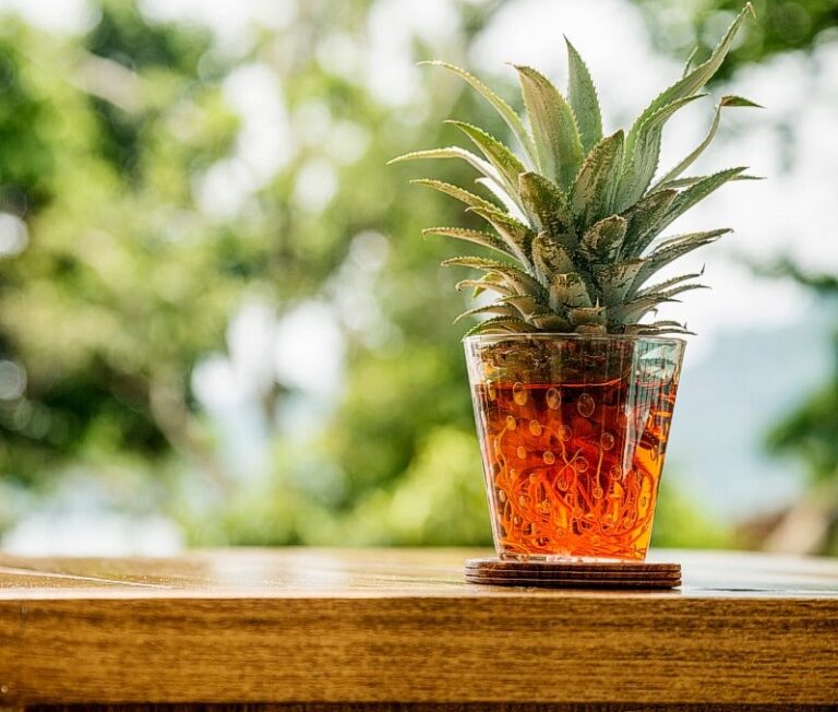 20 Plants and Fruits You Can Grow in Water
