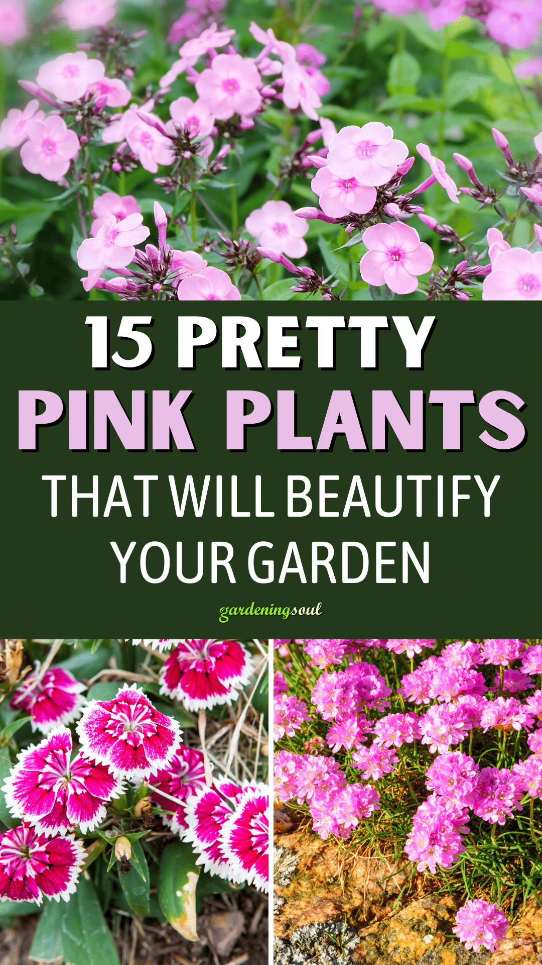15 Pretty Pink Plants that Will Beautify Your Garden
