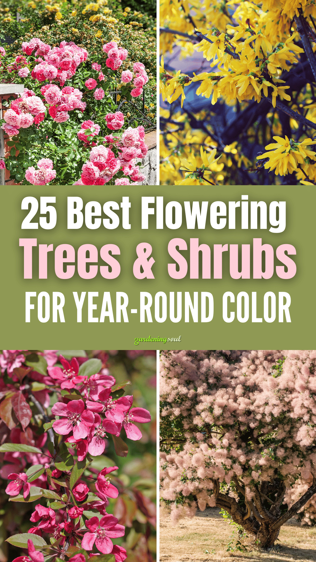25 Best Flowering Trees & Shrubs for Year-Round Color