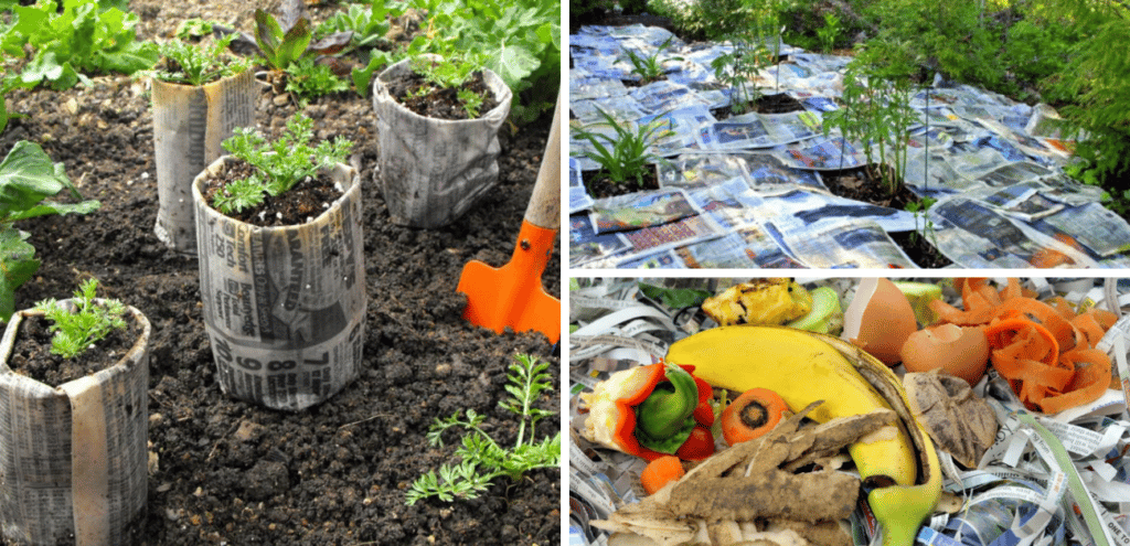 9 Excellent Ways to Use Newspaper in Your Garden